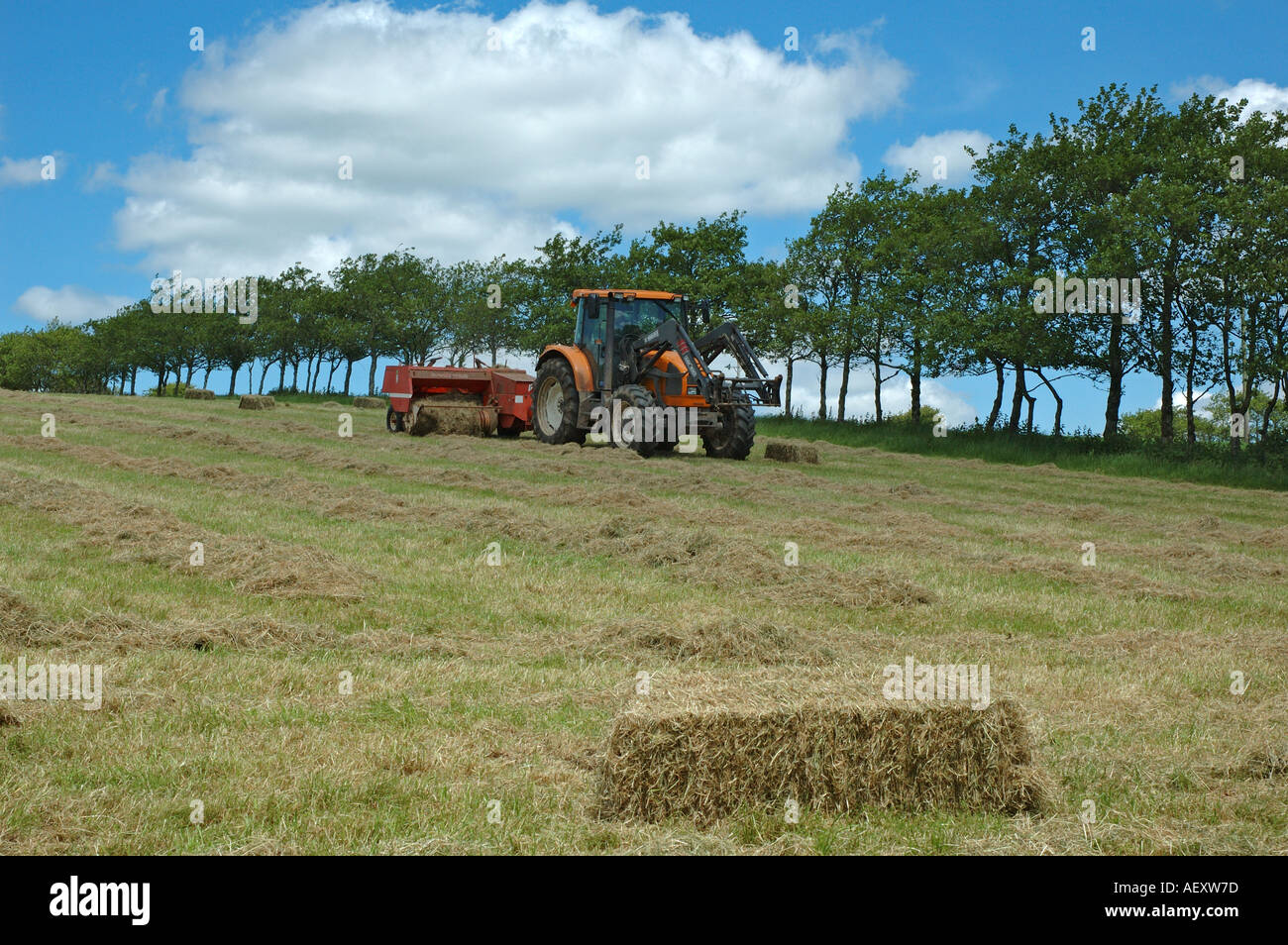 Small bales hi-res stock photography and images - Alamy