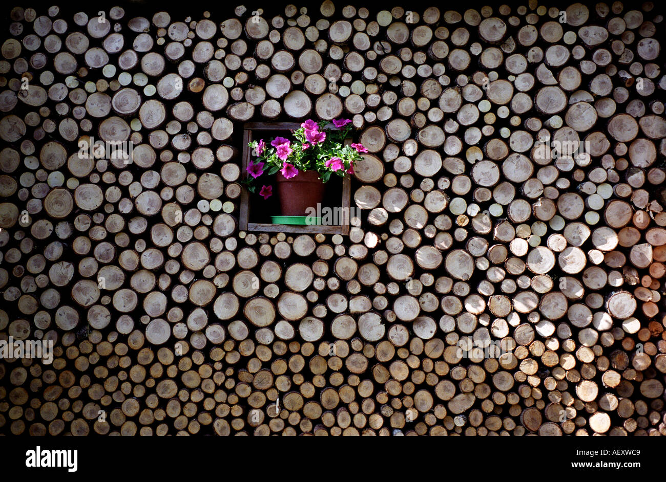 SWITZERLAND WOOD TEXTURE ON BARN BERNESE OBERLAND WOOD STORE Stock ...