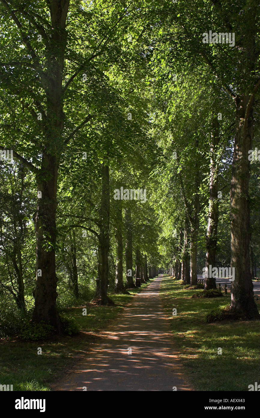 Tree lined walkway along Mill Road which runs below Arundel Castle ...