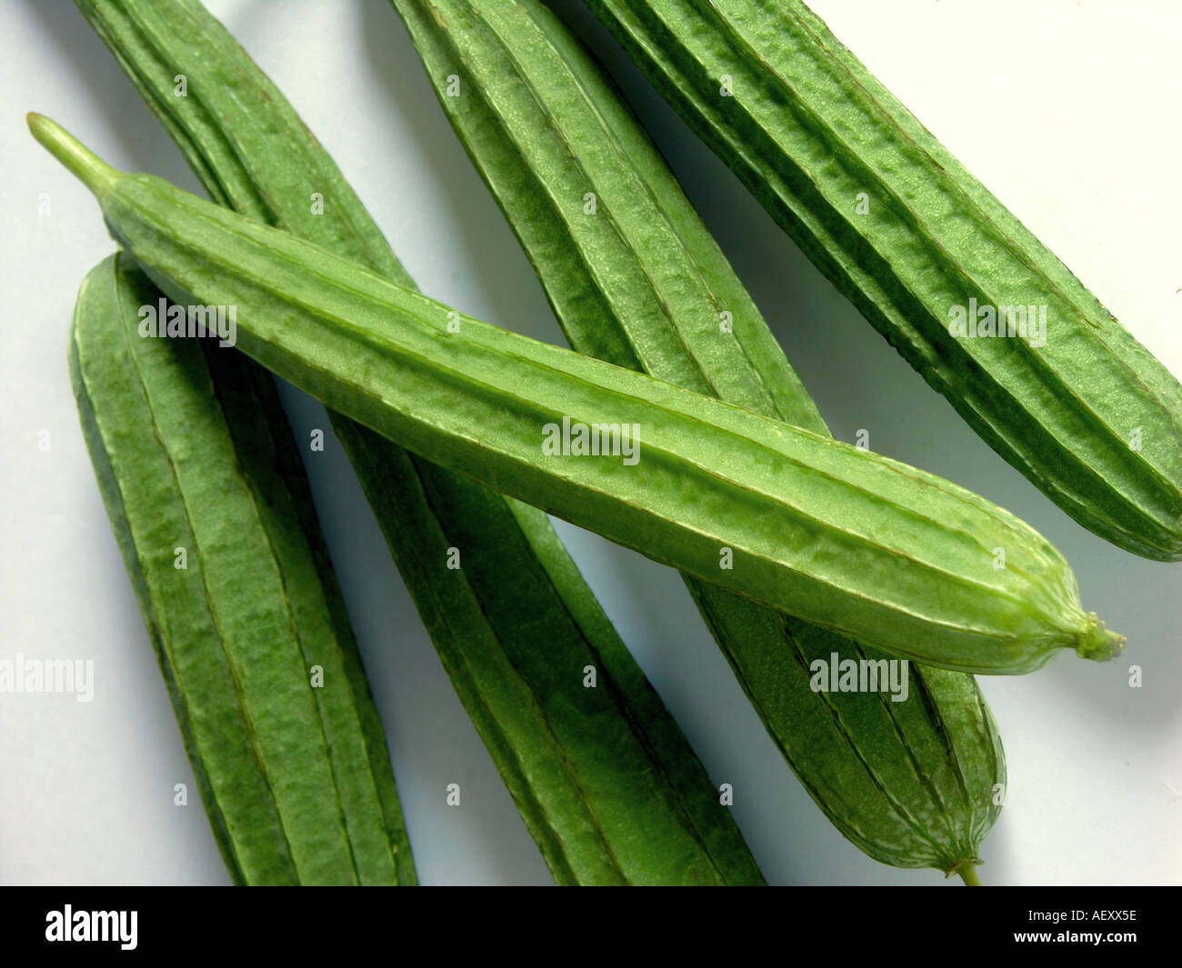Five pieces of ridge gourd green vegetable on white background in ...