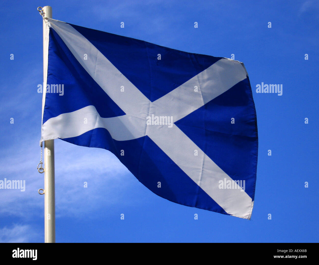 Scotland flag hi-res stock photography and images - Alamy
