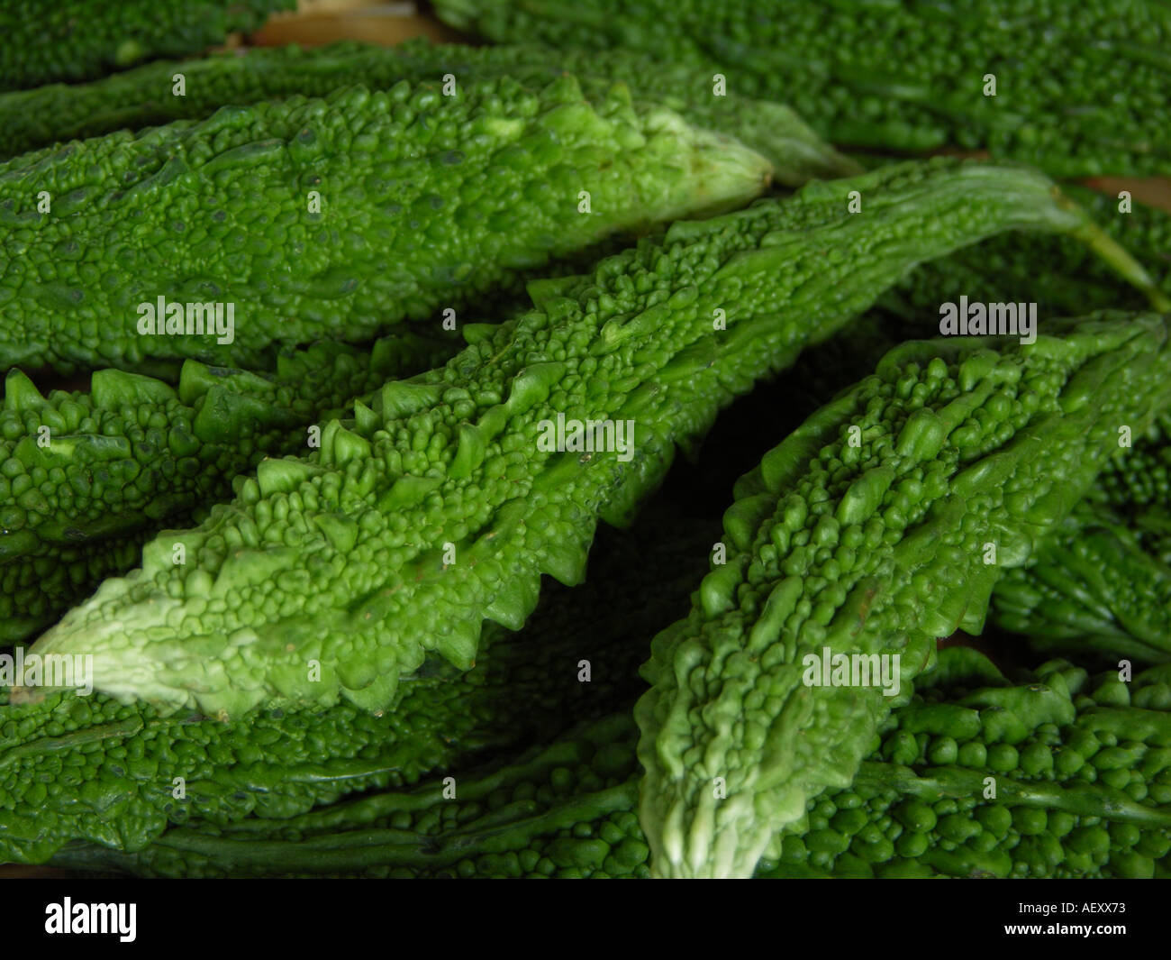 Karela in basket hi-res stock photography and images - Alamy