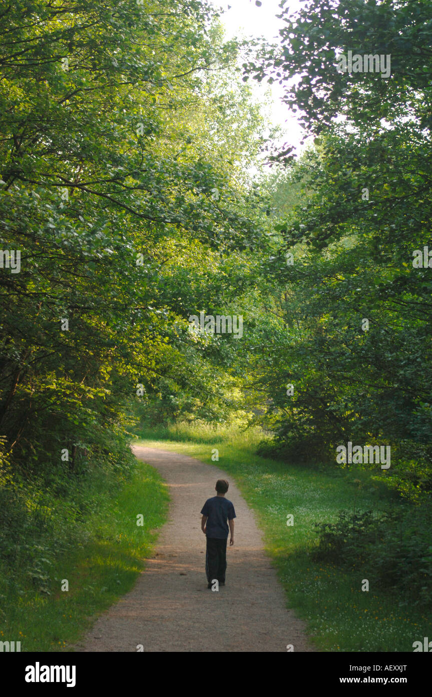 Boy Walking Along A Woodland Path Stock Photo - Alamy