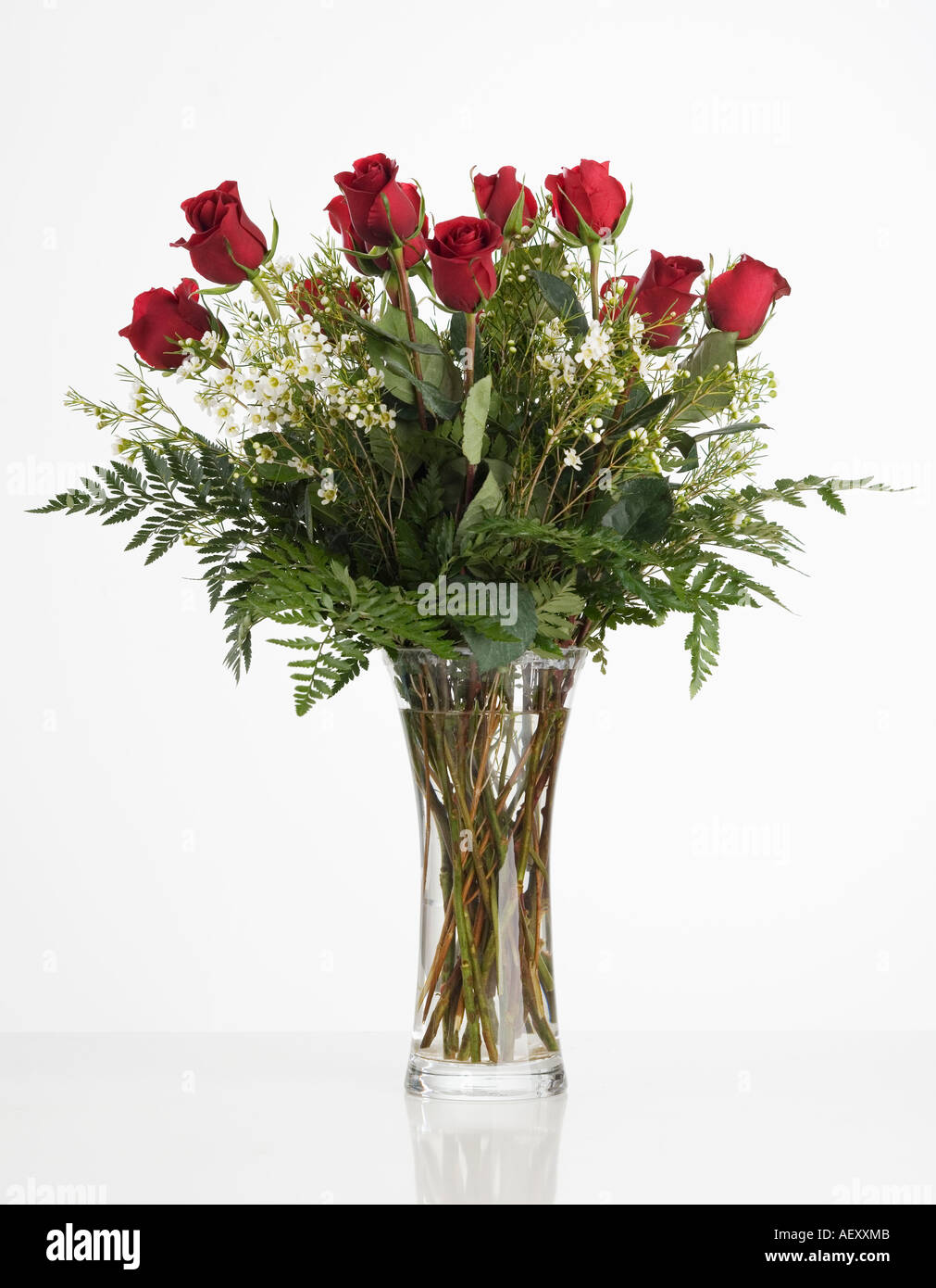 Still life of red roses Stock Photo - Alamy