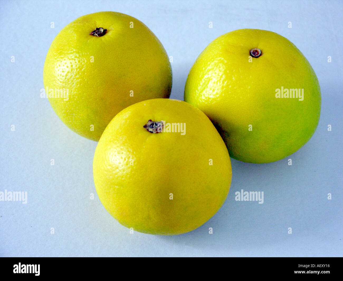 ADC71093 3 Three green color sweet lime fruit food round healthy juicy ...