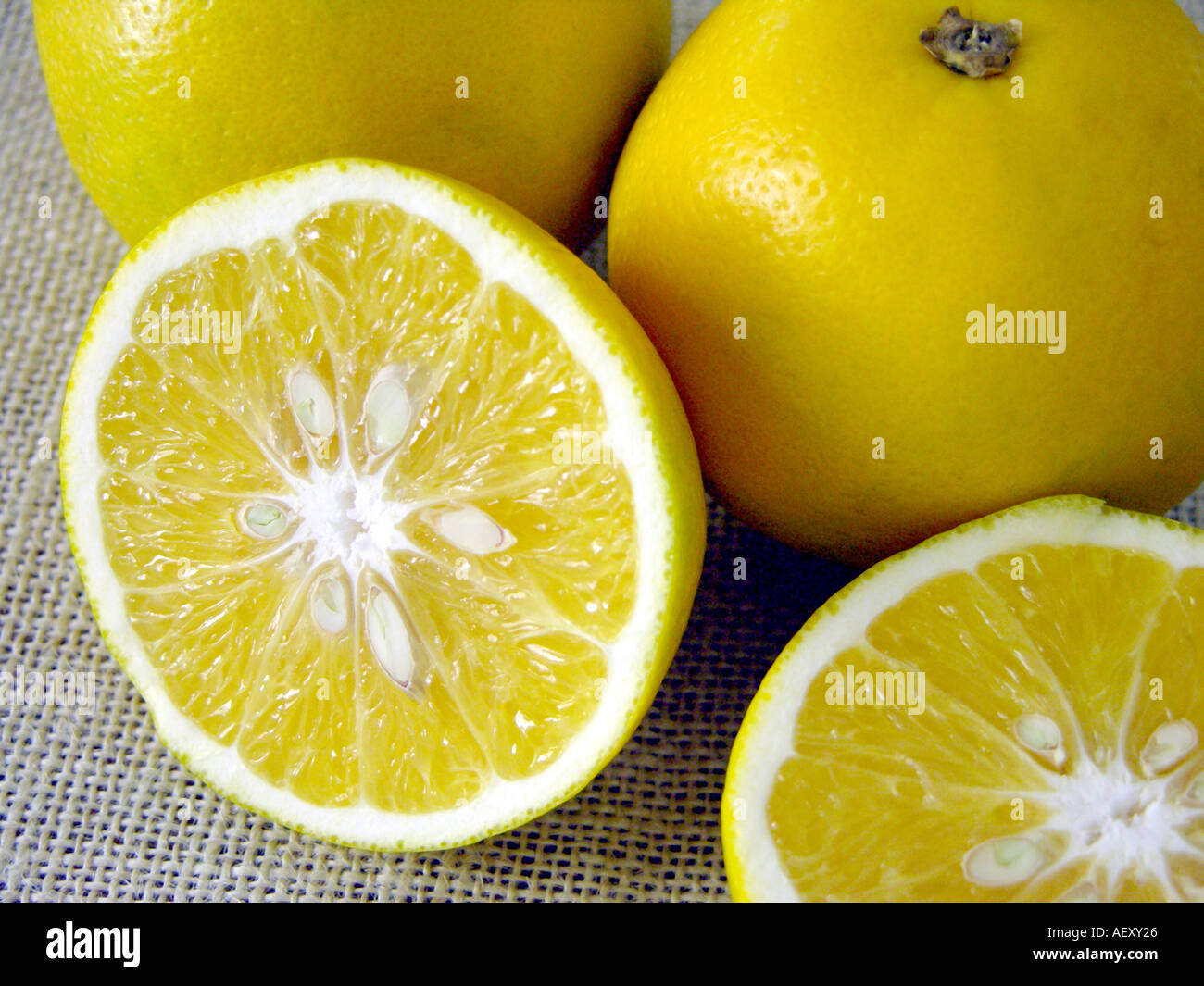 ADC71097 3 Three yellow color sweet lime fruit one cut food round ...