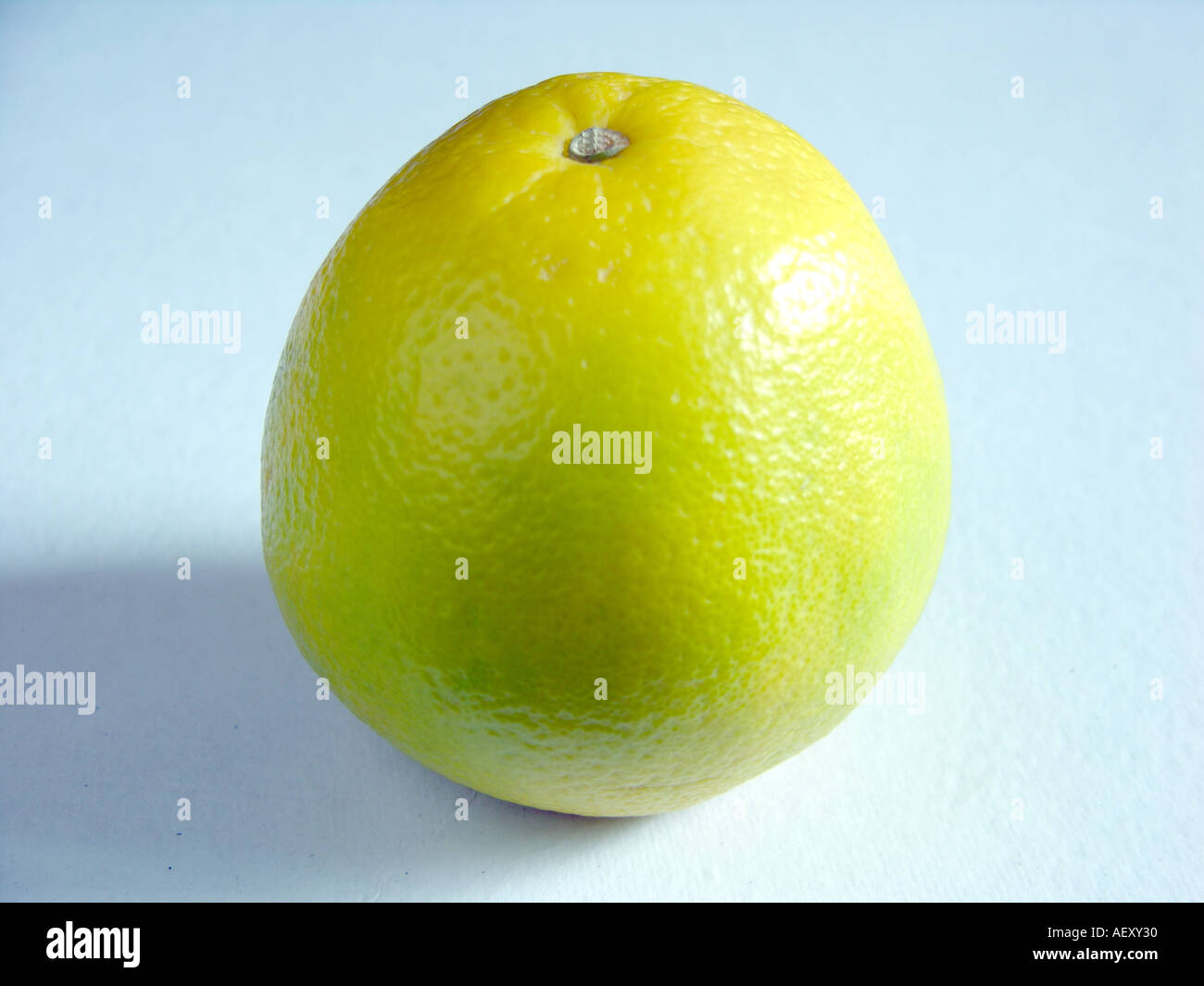 ADC71099 One green yellow color sweet lime fruit food round healthy ...