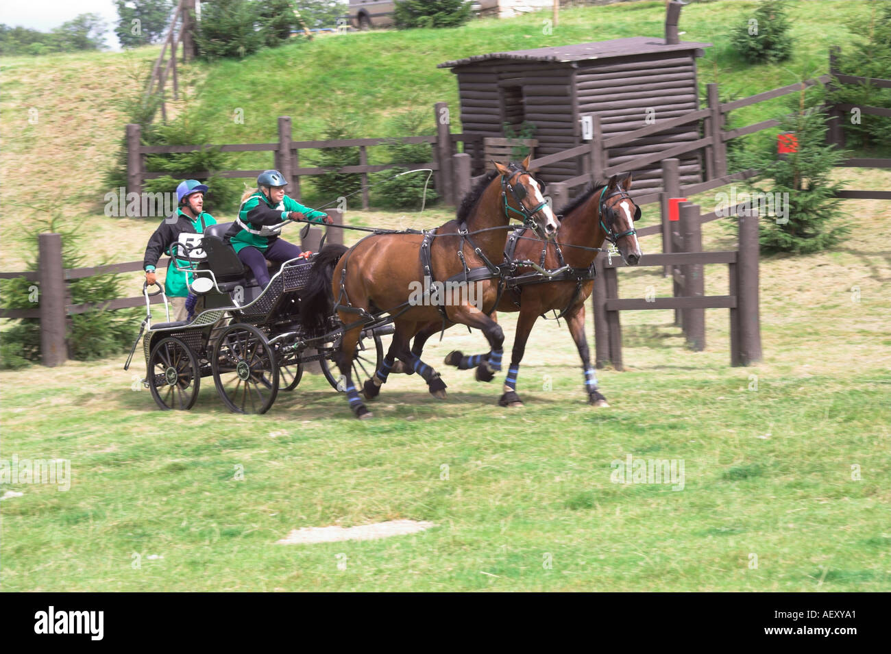 Lowther horse driving trials hi-res stock photography and images - Alamy