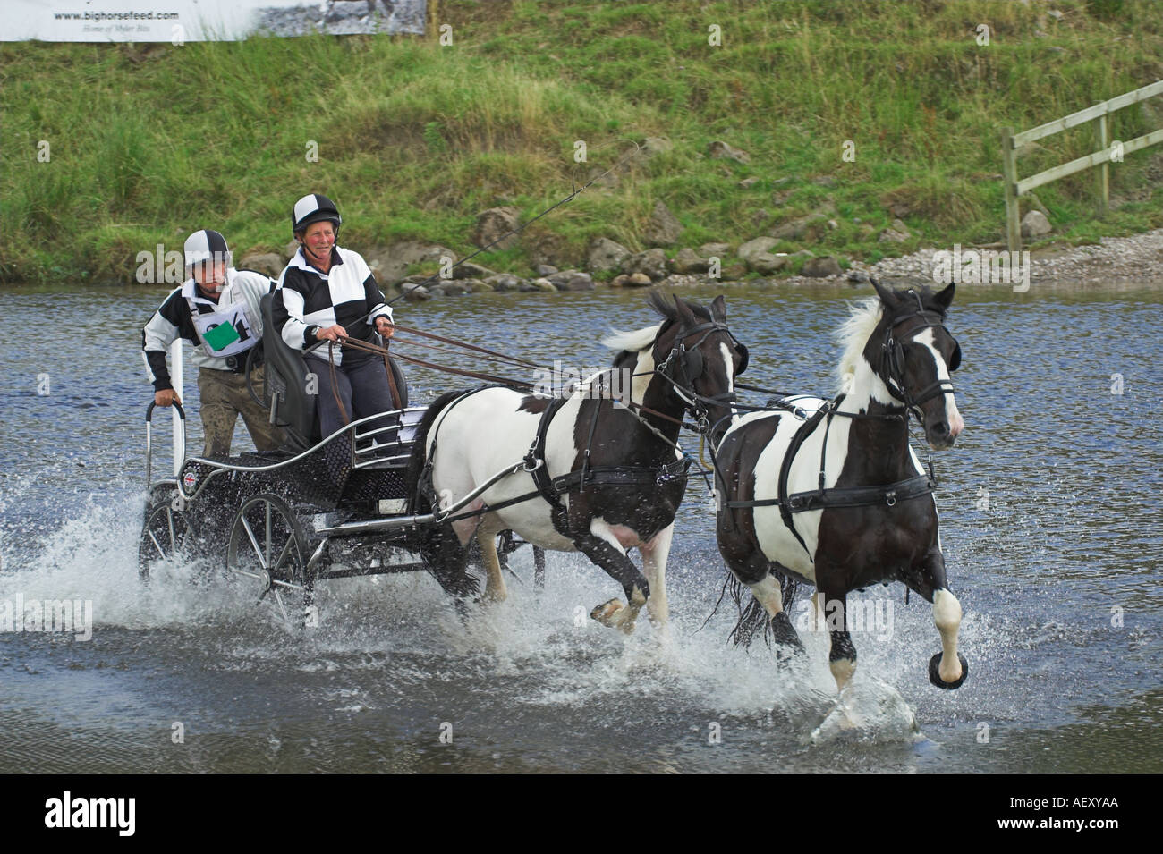 Lowther horse driving trials hi-res stock photography and images - Alamy