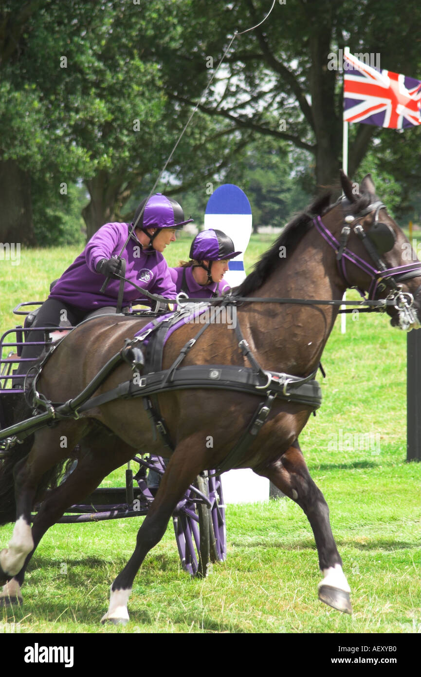 A Single horse Carriage Turning Tightly during the cross Country ...