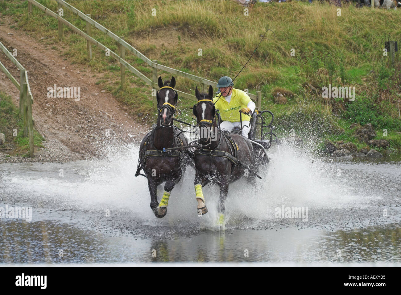 Horses and Carriage enter the water splash during the Cross Country ...
