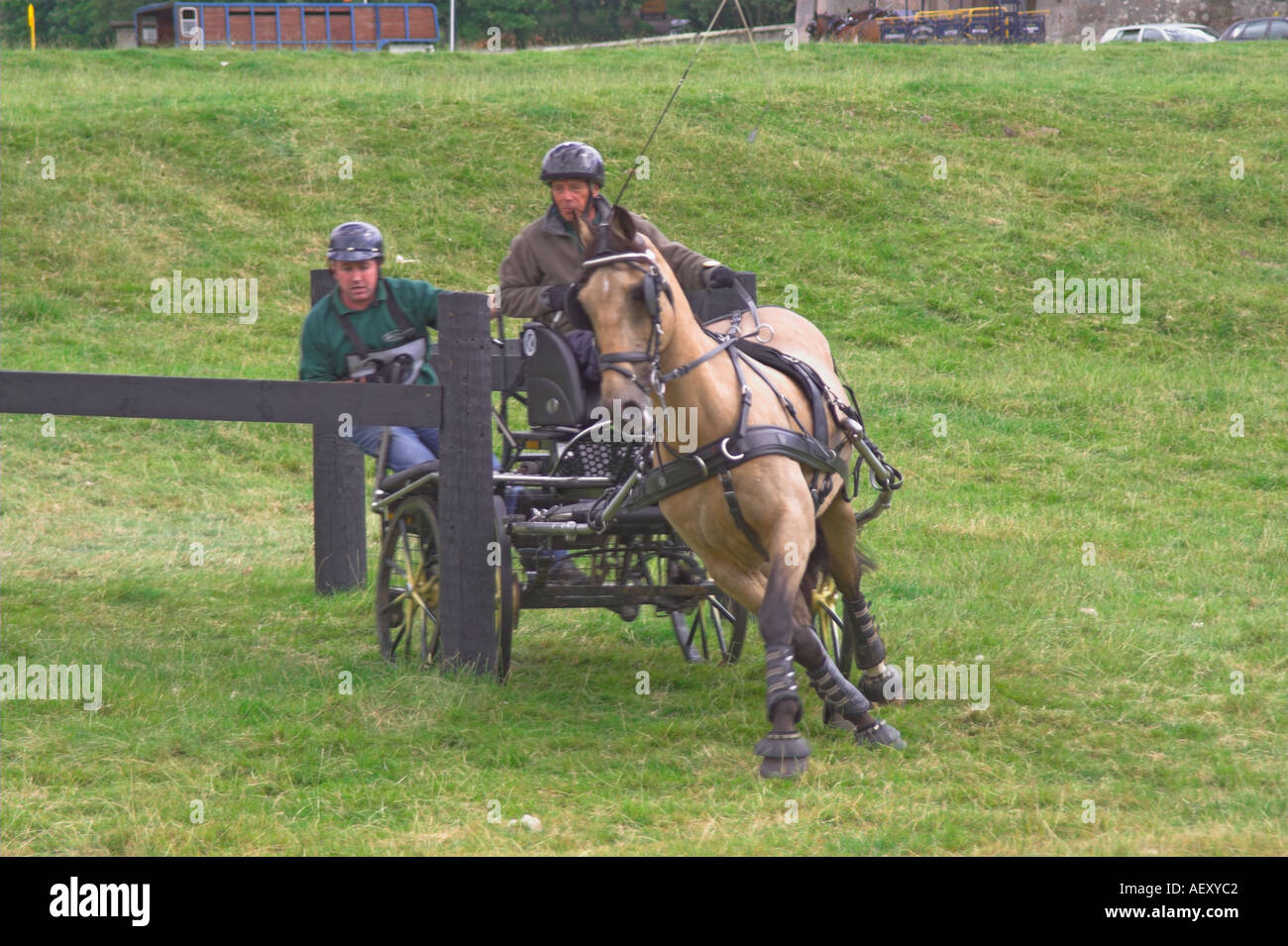Single Horse and carriage making a tight turn to complete an obstacle ...