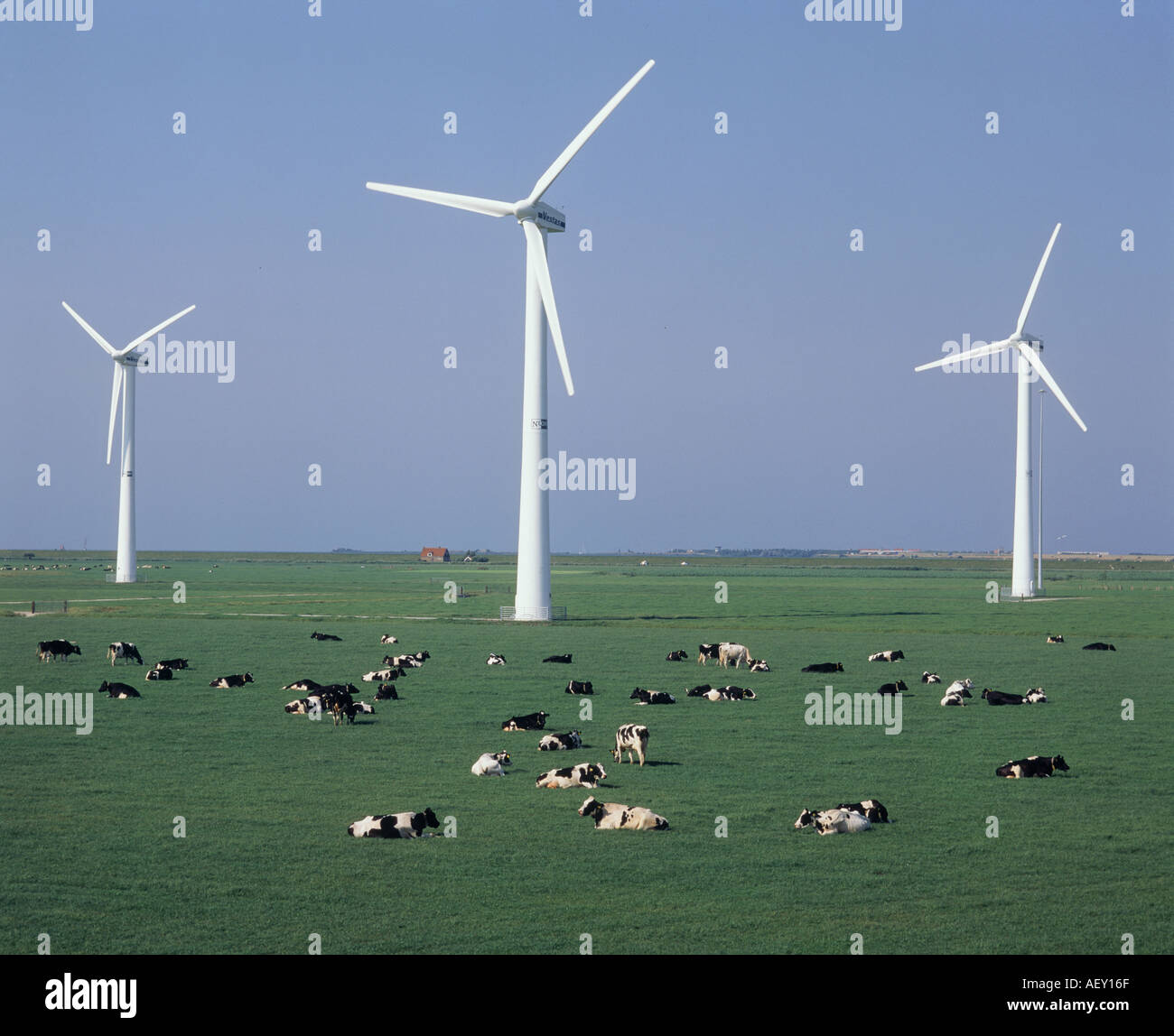 Wind Turbine FRIESLAND NETHERLANDS Stock Photo - Alamy