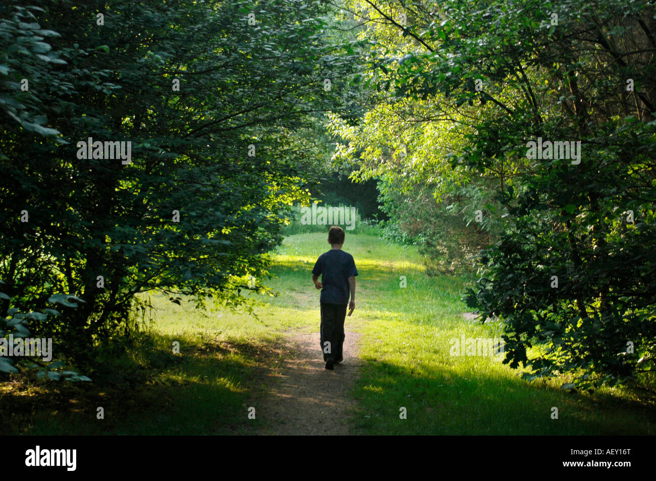 Boy Walking Along A Woodland Path Stock Photo - Alamy