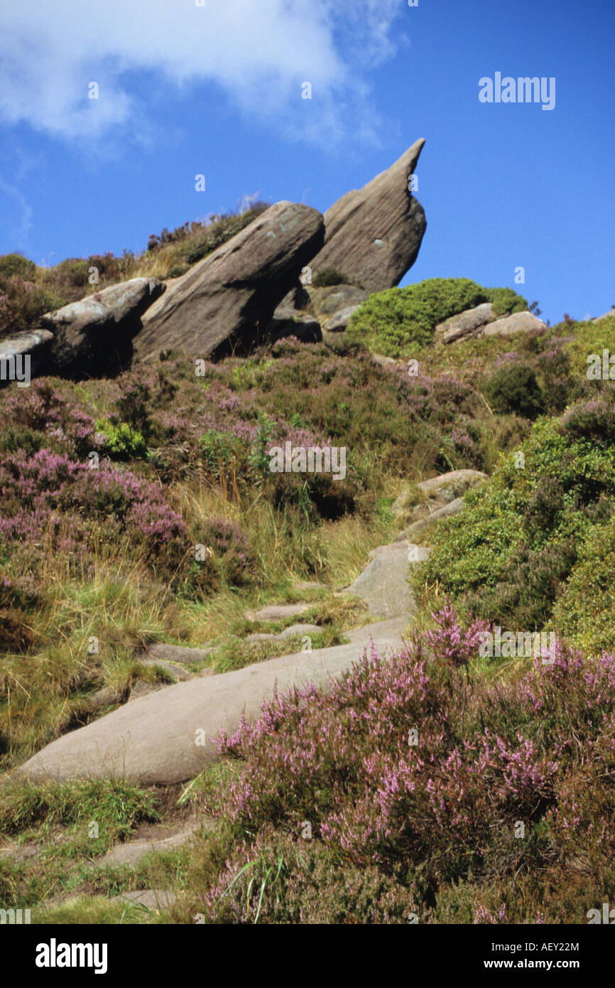 Ramshaw Rocks Near Leek In Summer Stock Photo - Alamy