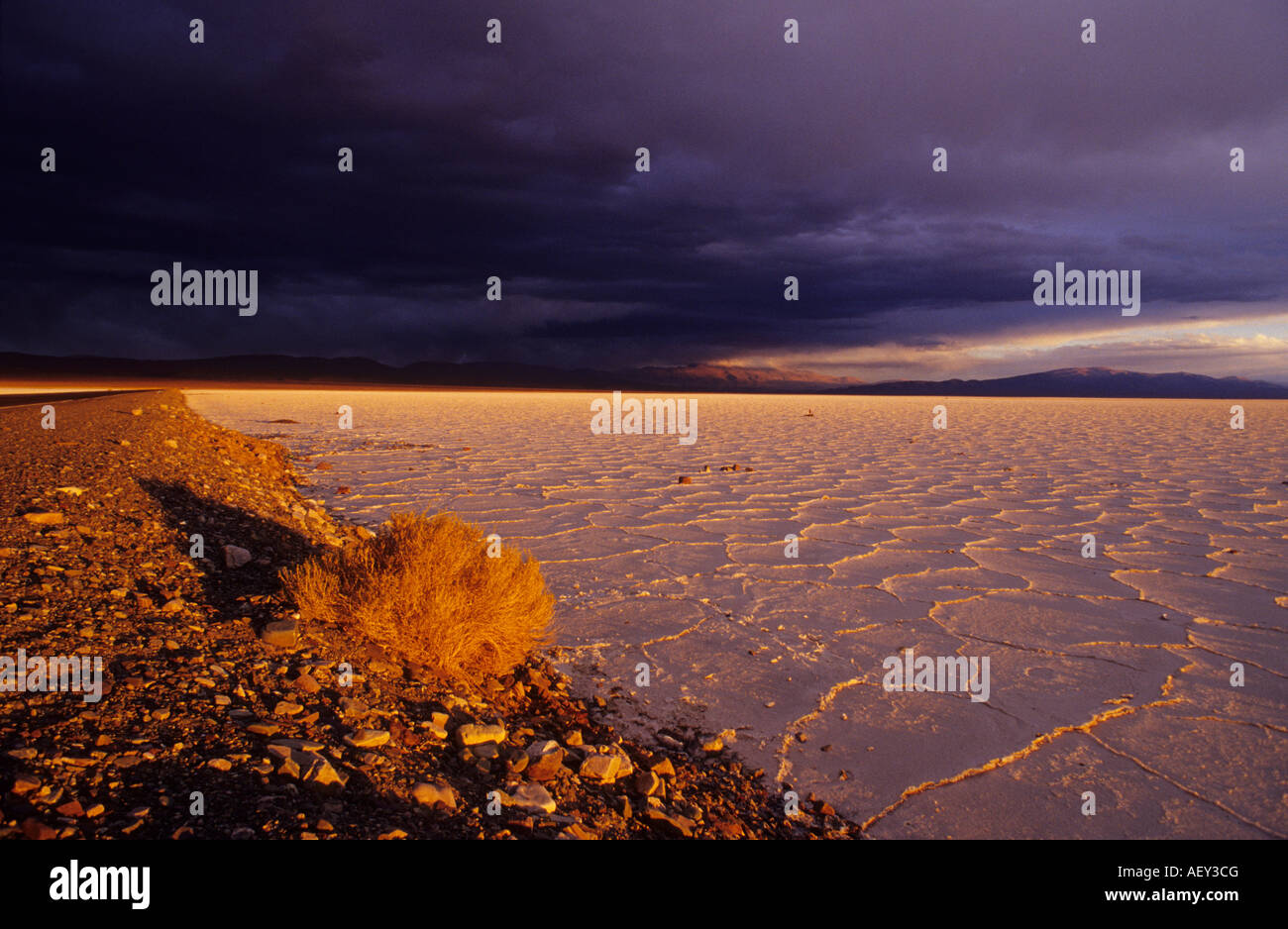 Salinas bolivia hi-res stock photography and images - Alamy