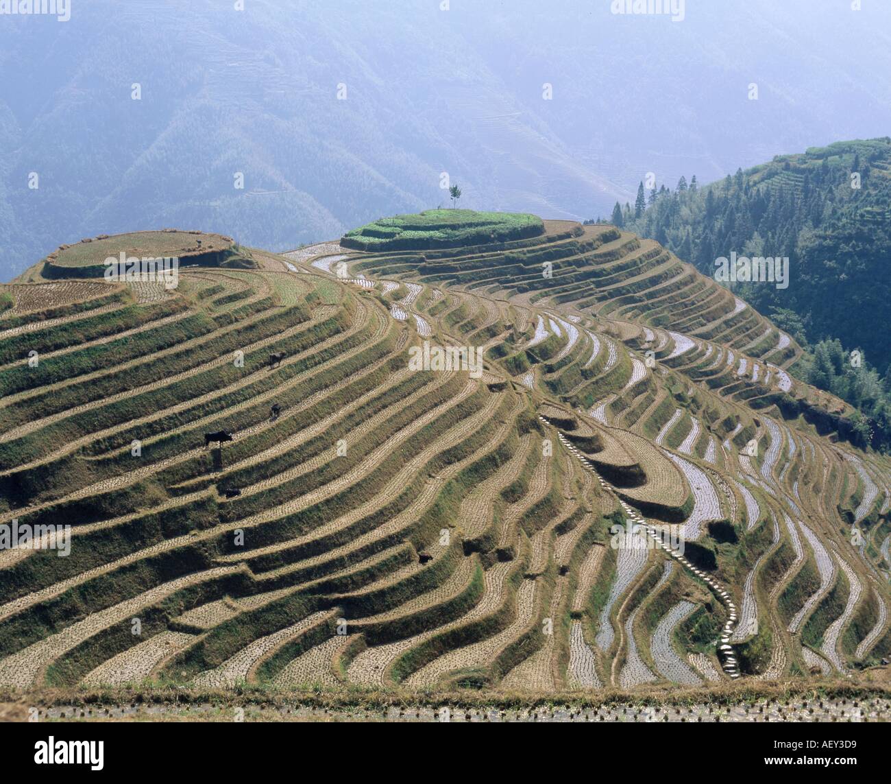 Guiling china hi-res stock photography and images - Alamy