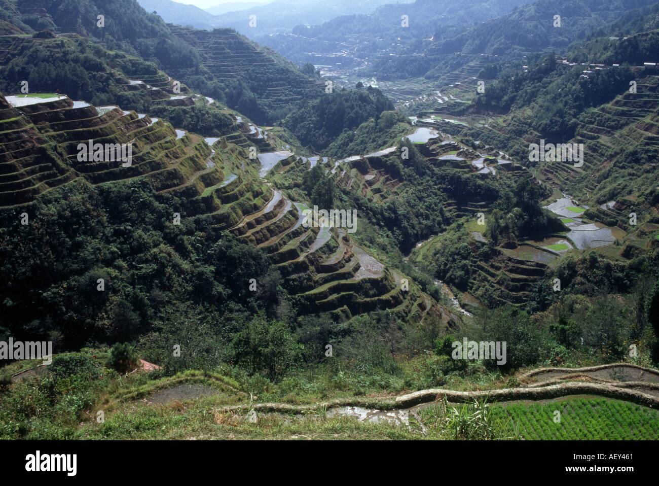 Rice Terrace Banawe World Heritage LUZON PHILIPPINES Stock Photo - Alamy