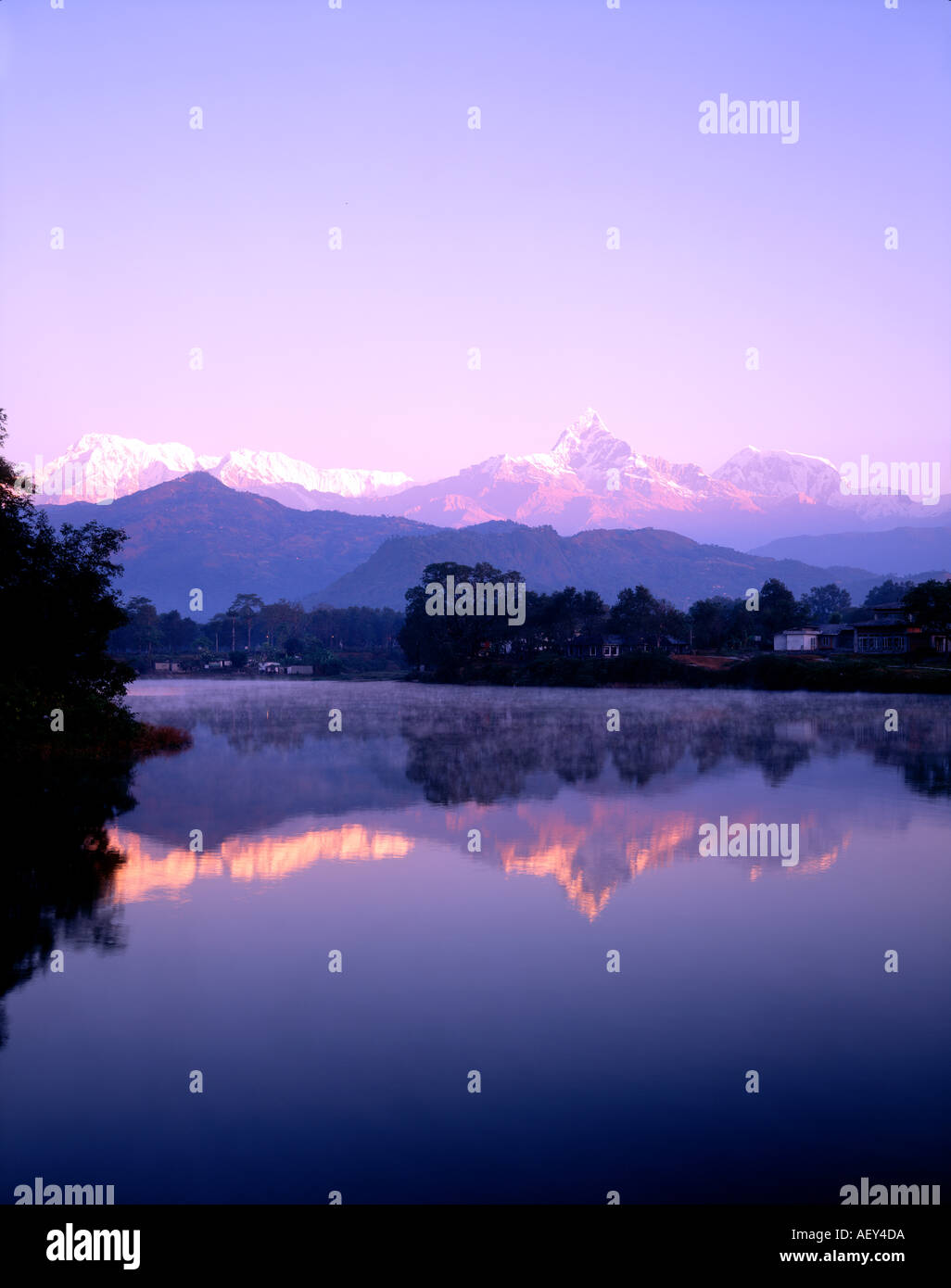 Lake Pewa Machhapuchhare POKHARA NEPAL Stock Photo - Alamy