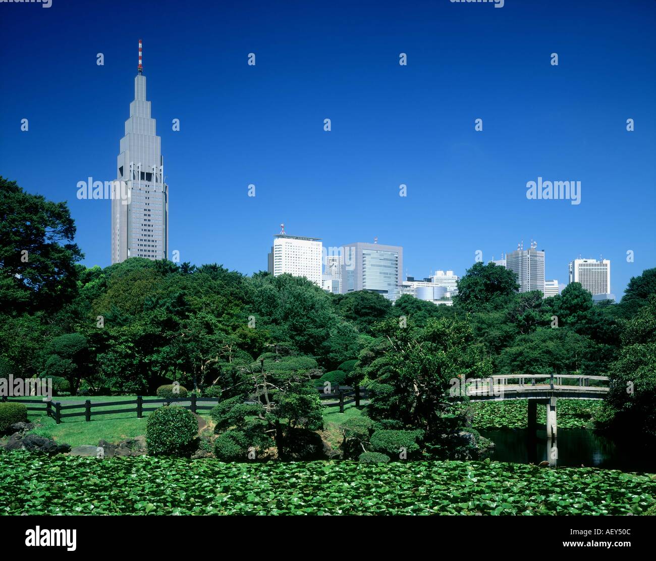 Shinjuku TOKYO JAPAN Stock Photo - Alamy