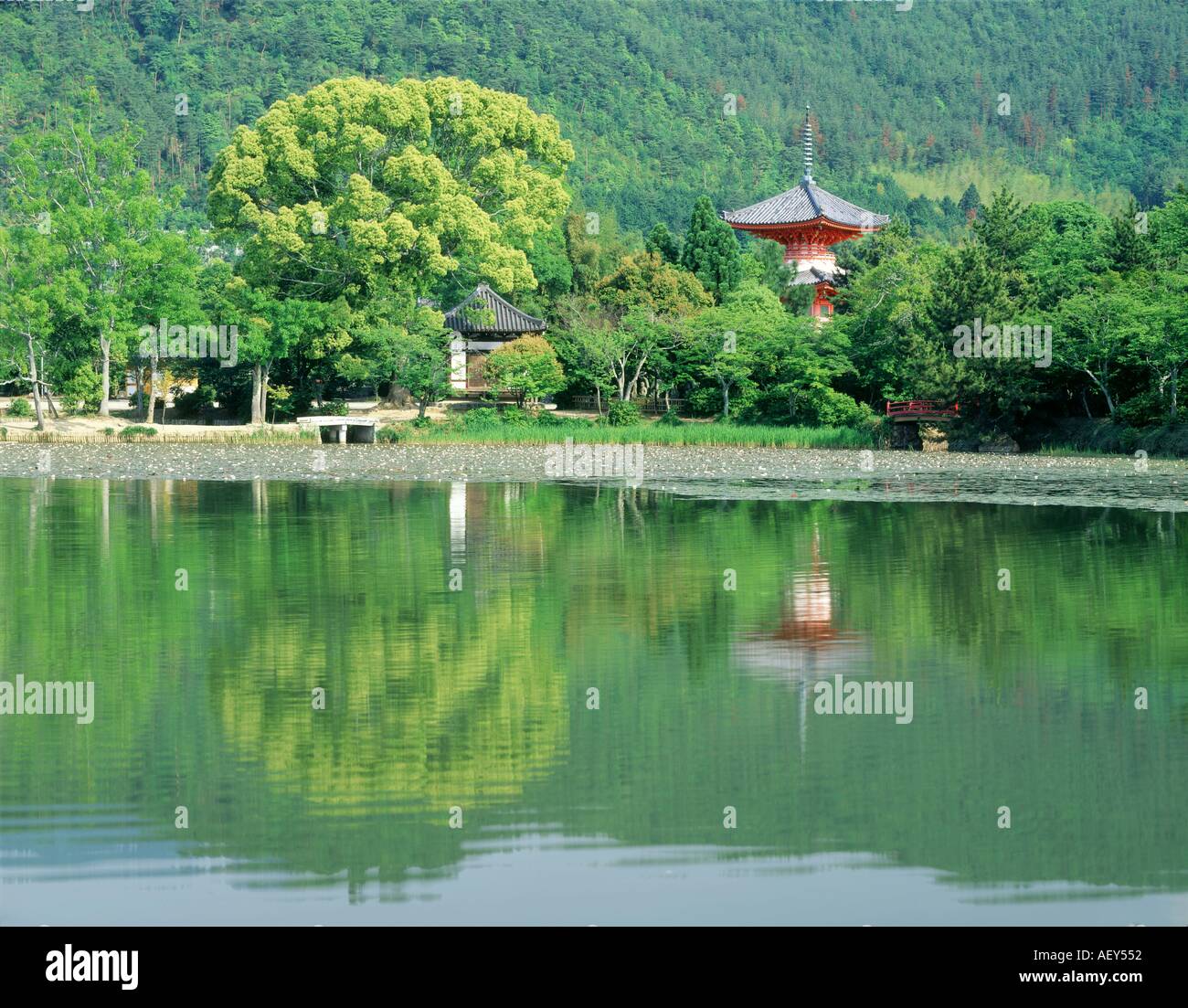 Daikaku Temple KYOTO JAPAN Stock Photo - Alamy
