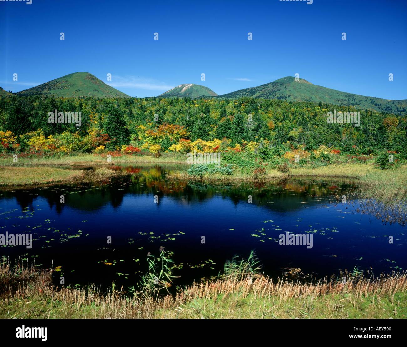 Mt hakkoda hi-res stock photography and images - Alamy