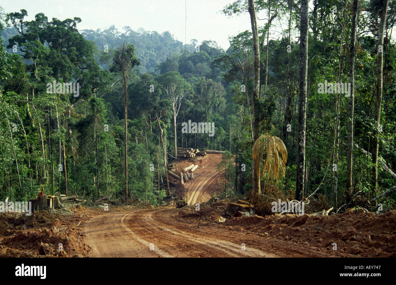 Logging camp Sumatra Indonesia Stock Photo - Alamy