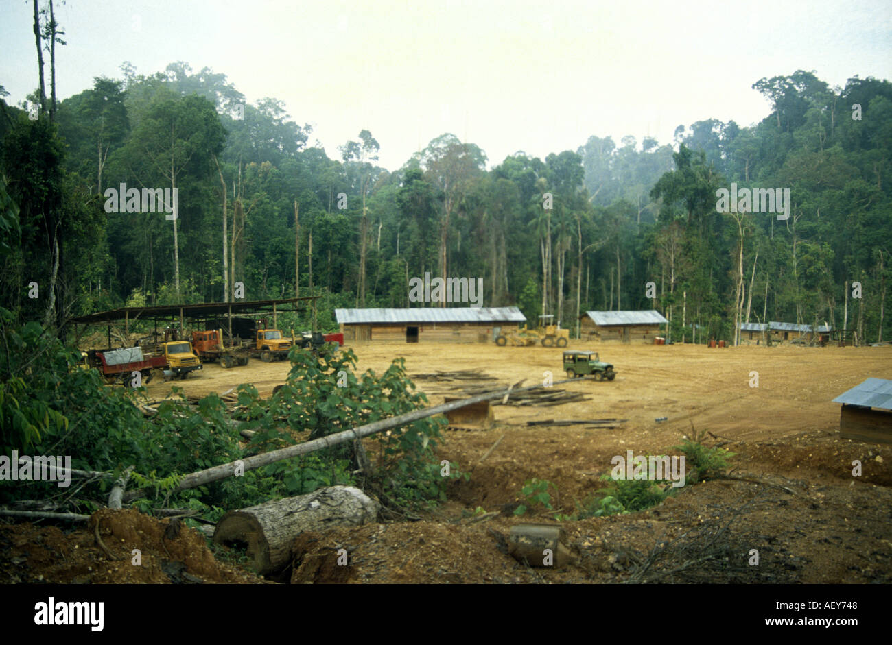 Logging Camp in the forest Sumatra Indonesia Asia Stock Photo - Alamy
