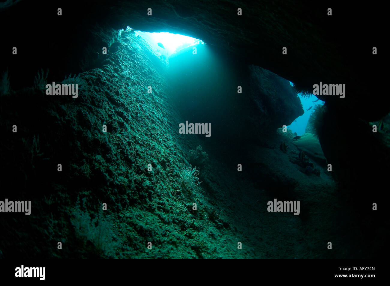 small cave underwater Stock Photo - Alamy