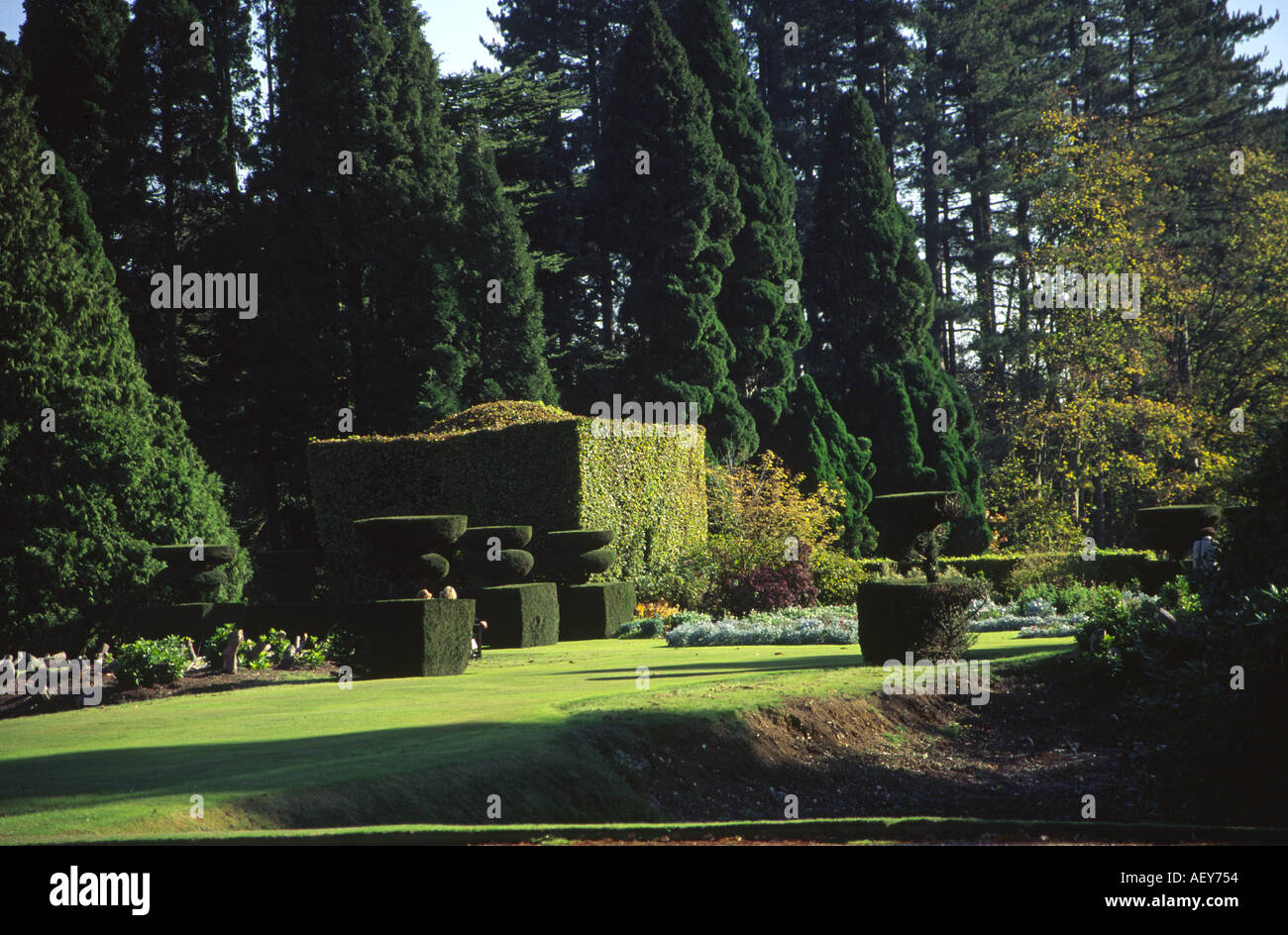 Ashridge Park Hertfordshire England Stock Photo - Alamy