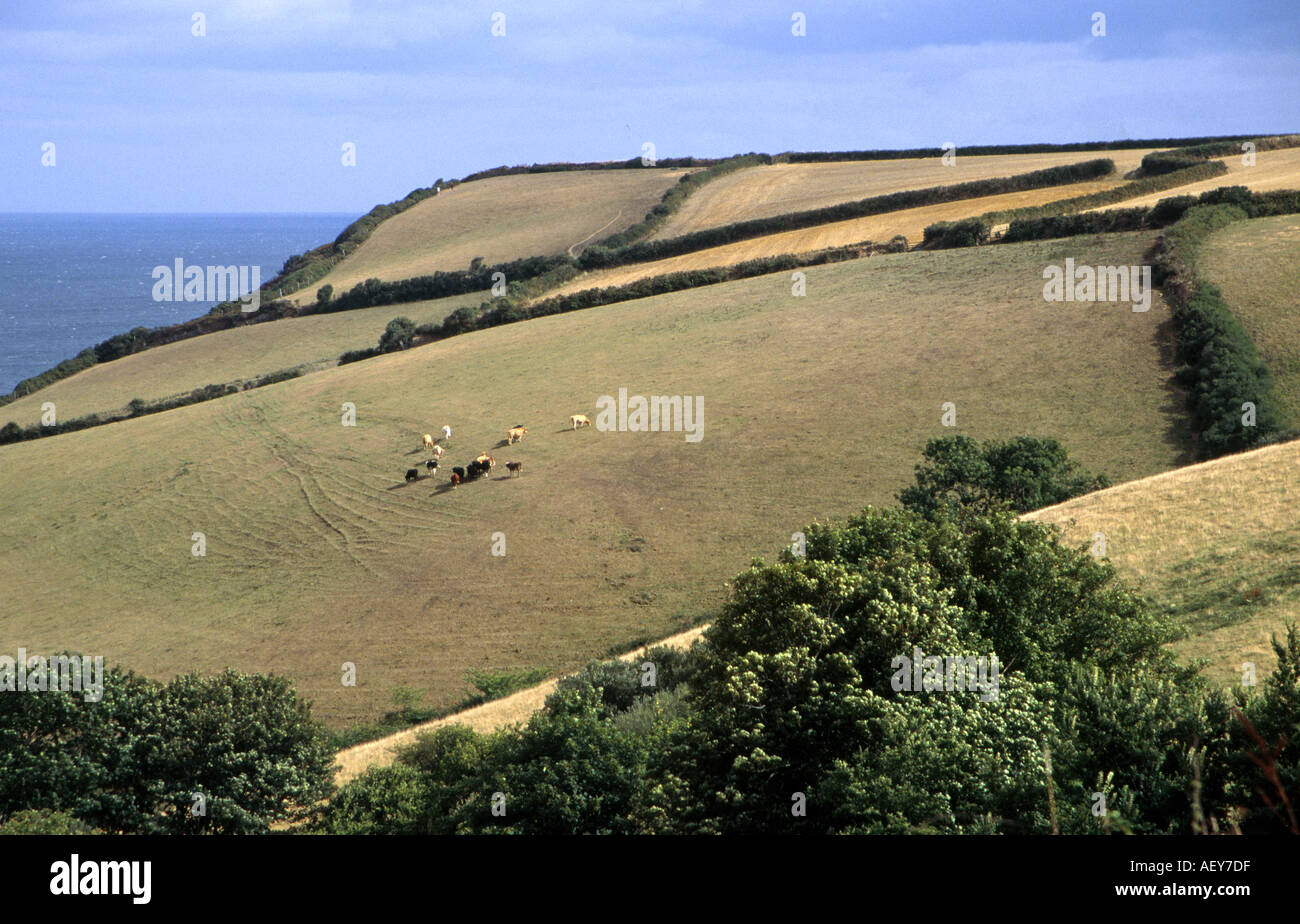Fields Pentewan Cornwall England Stock Photo - Alamy