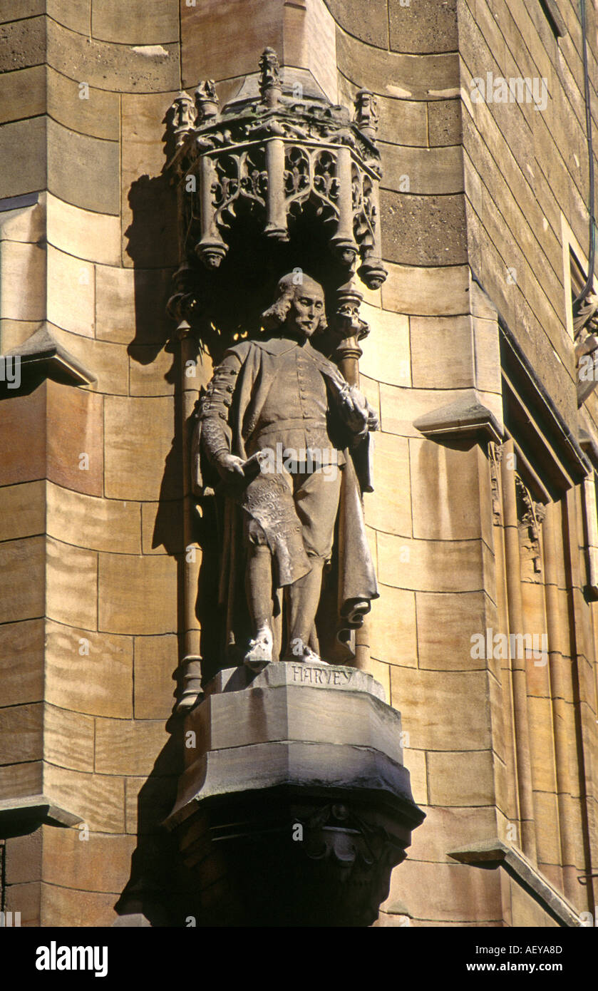 Statue at St John s College Cambridge England Stock Photo - Alamy
