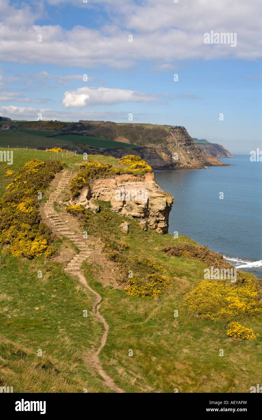 North Yorkshire coast footpath Stock Photo - Alamy