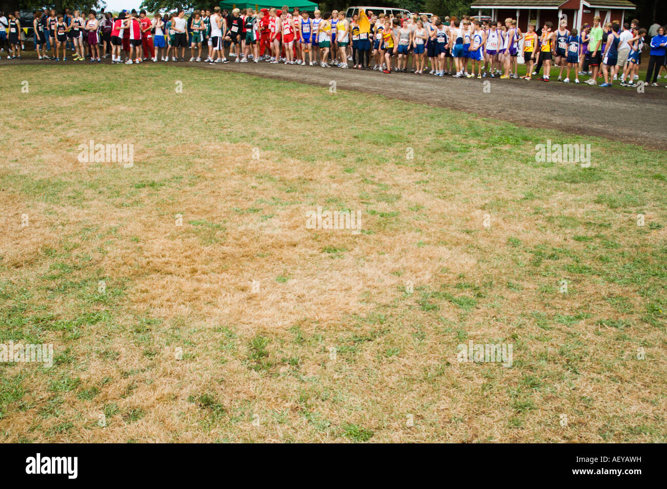 line up of runners Stock Photo - Alamy
