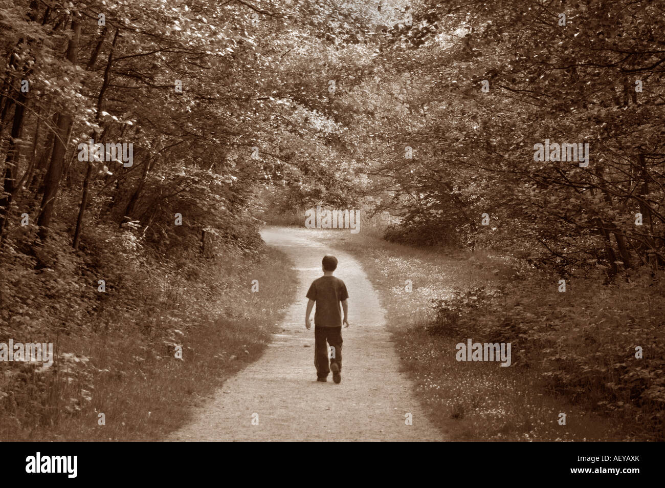 Boy Walking Along A Woodland Path Stock Photo - Alamy