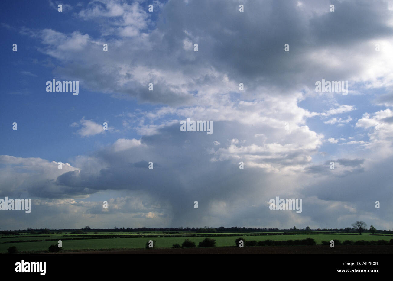 Rain falling from the clouds Stock Photo - Alamy