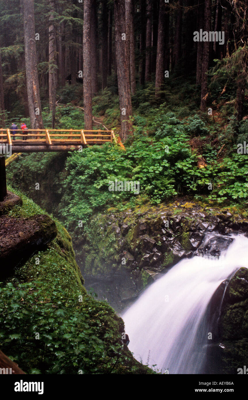 Sol Duc Falls Olympic Peninsula National Park Washington Stock Photo ...