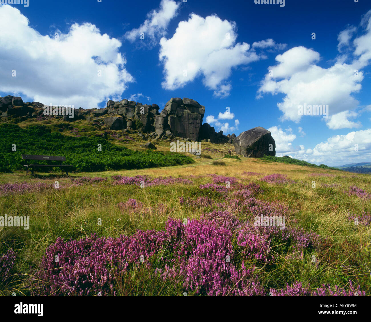 Cow and calf rocks hi-res stock photography and images - Alamy