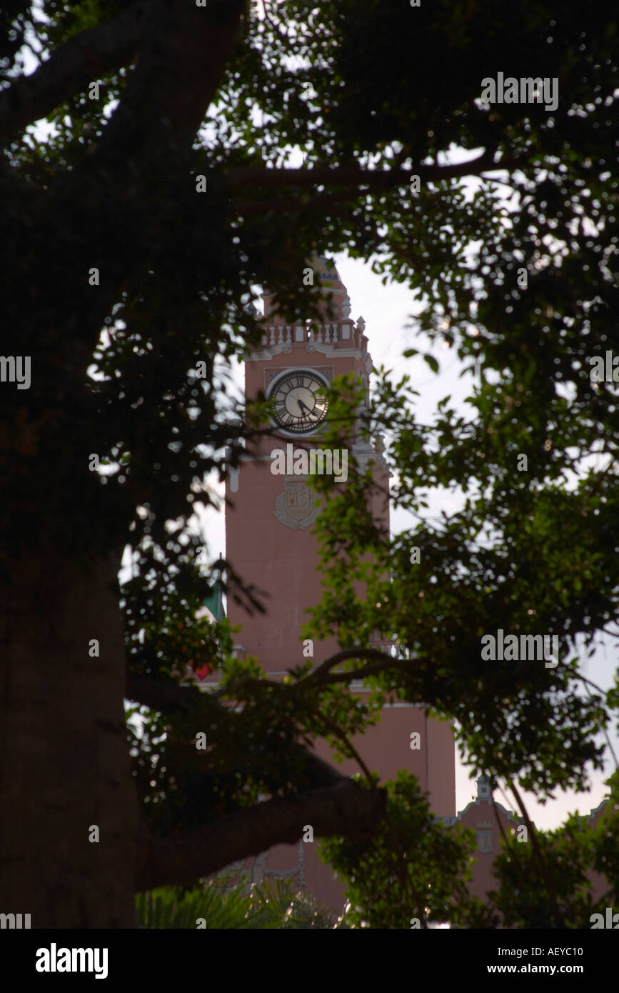 Clock tower in Merida Mexico behind tree branches Stock Photo - Alamy