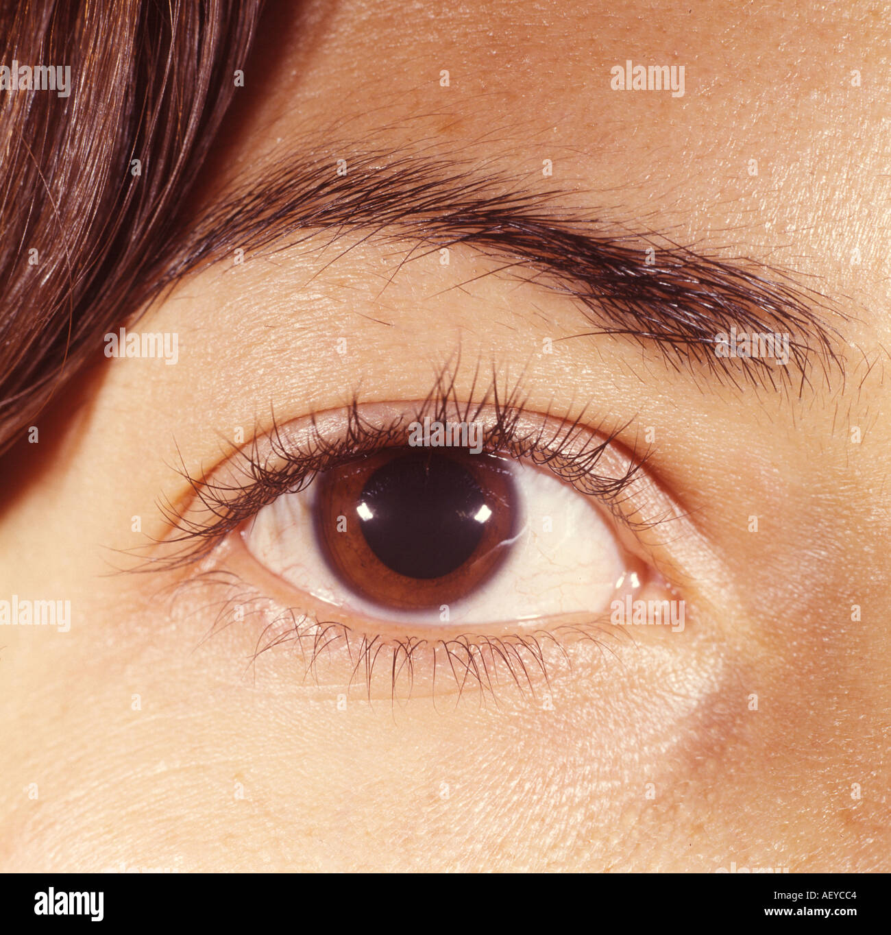 Eye parts hi-res stock photography and images - Alamy