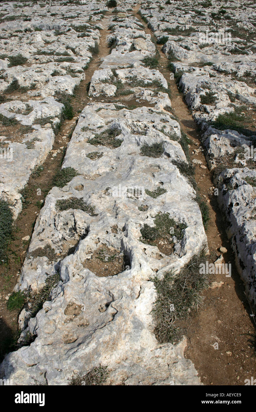 Malta Cart Ruts Clapham Junktion Stock Photo - Alamy