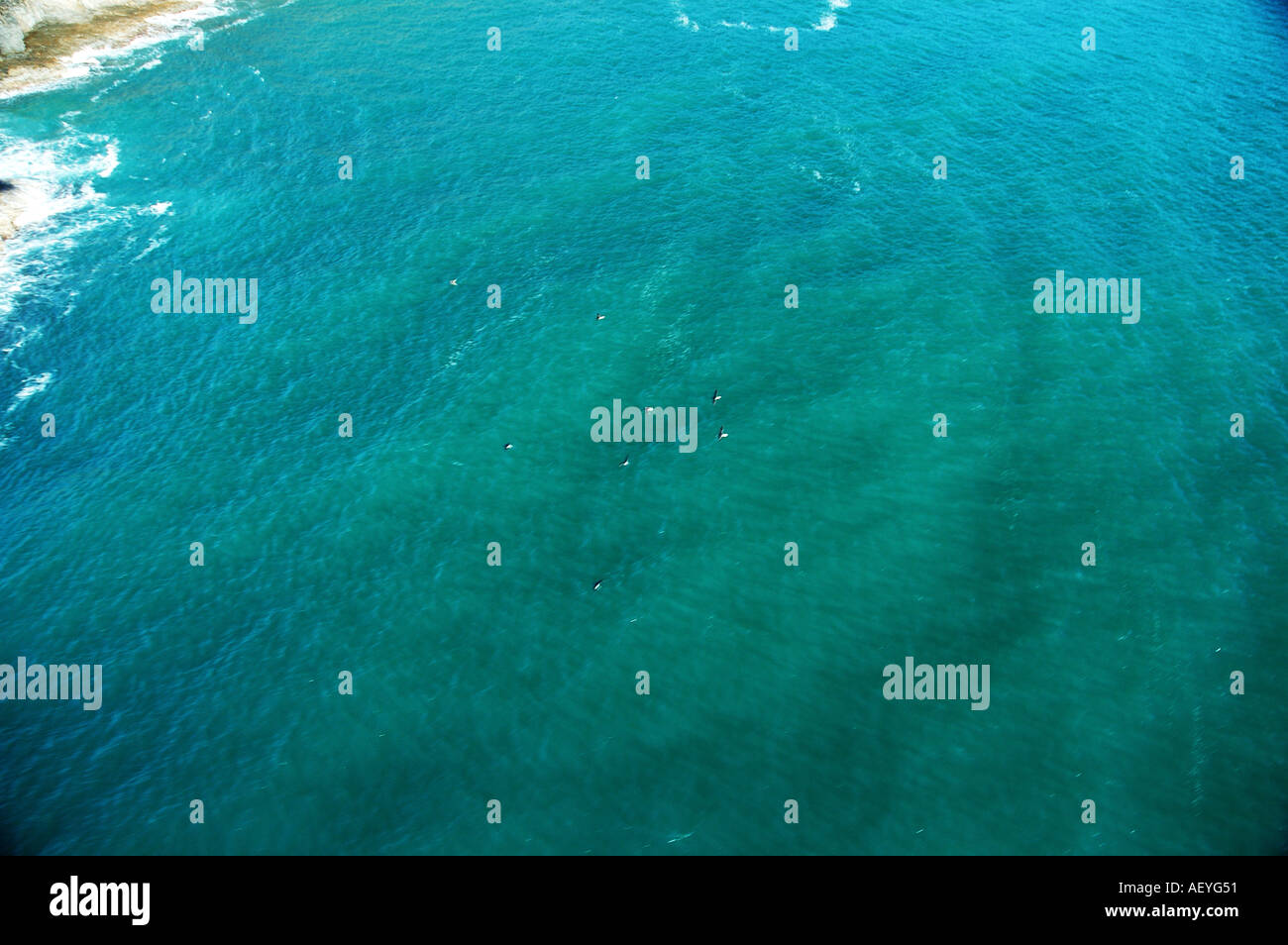 ocean texture Queensland Australia Stock Photo - Alamy