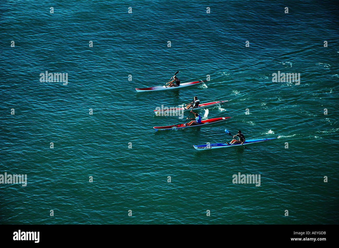 Surf Ski training paddle off the Queensland Sunshine Coast Stock Photo ...