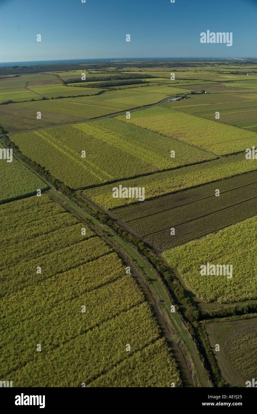 Pattern of cane fields Sunshine Coast Queensland Australia Stock Photo ...