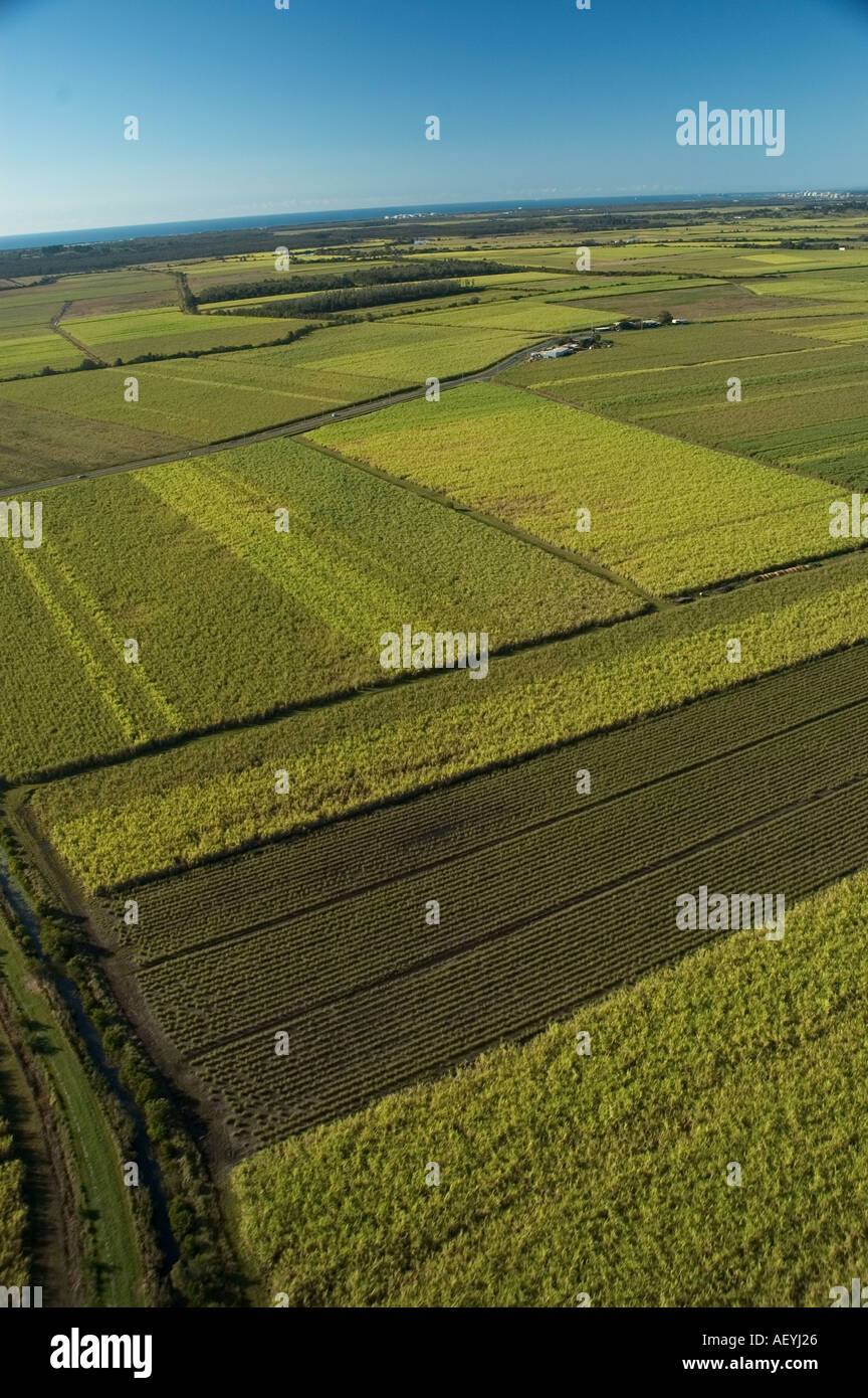 Pattern of cane fields Sunshine Coast Queensland Australia Stock Photo ...