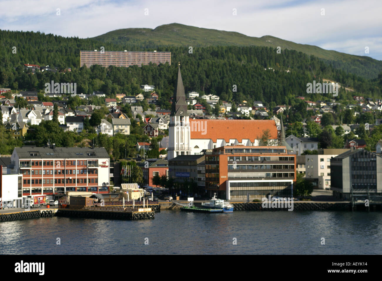 Molde roses hi-res stock photography and images - Alamy