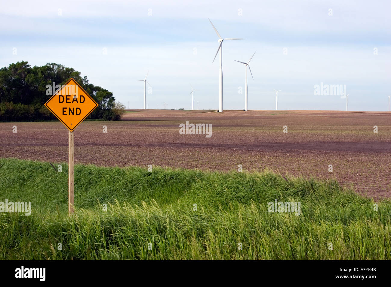 Dead crops hi-res stock photography and images - Alamy