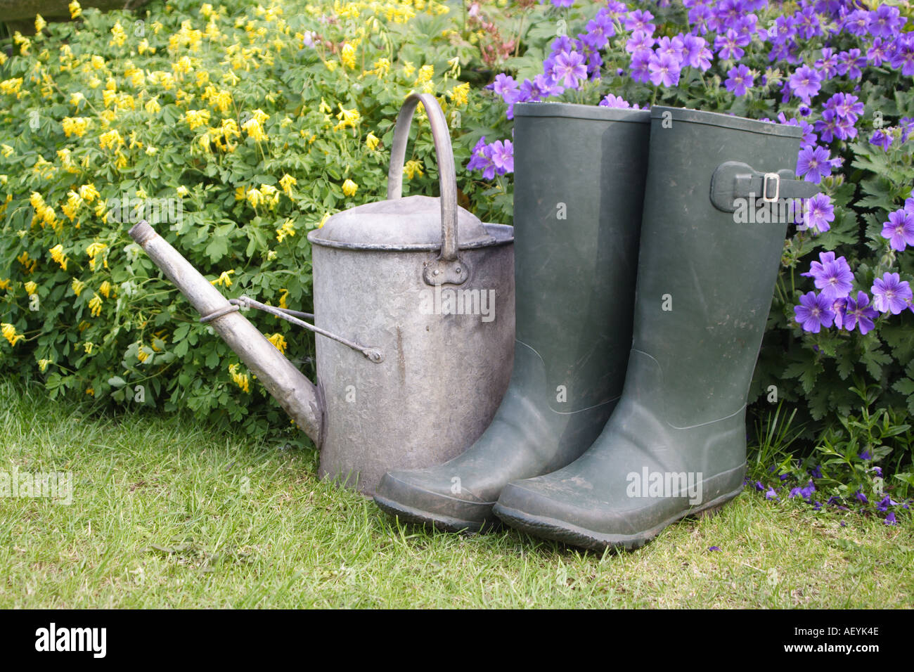 Old metal watering can beside green wellies in a flower garden Stock ...