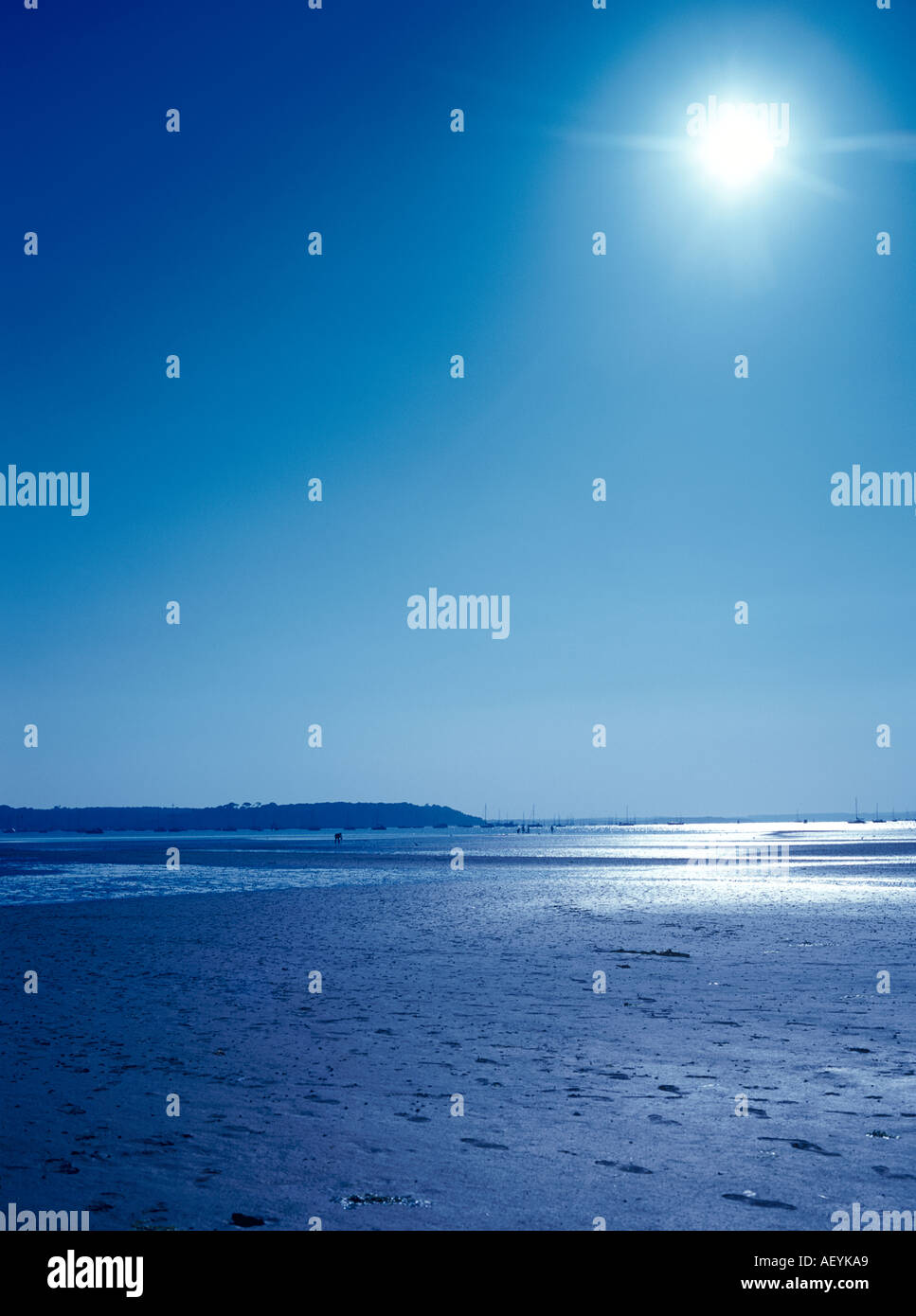 Poole Harbour in Dorset showing Brownsea Island at low tide, shot into ...