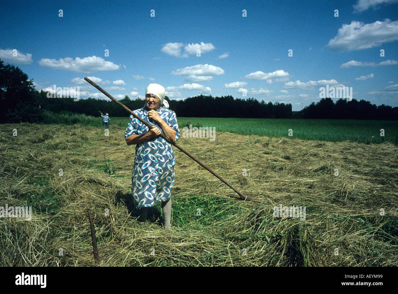 Russian farmers rake hay Stock Photo - Alamy